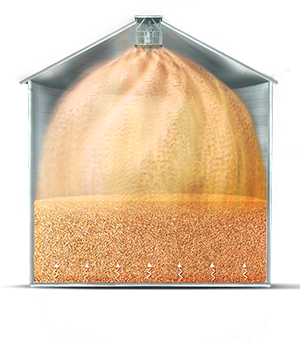 CREALYST Agro homogeneous dense loading for silos in the food industry.