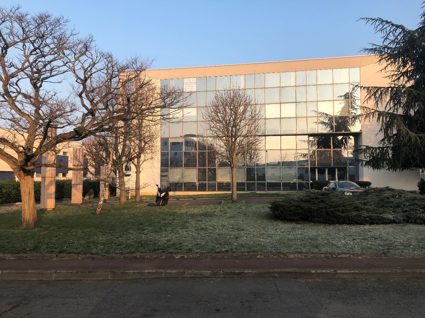 new products and services for CREALYST in 2018